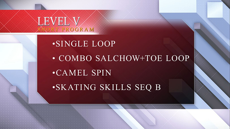 Figure Skating Spin Levels