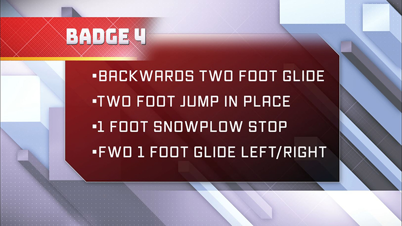 Badge 4