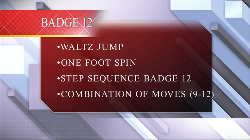 Badge 12