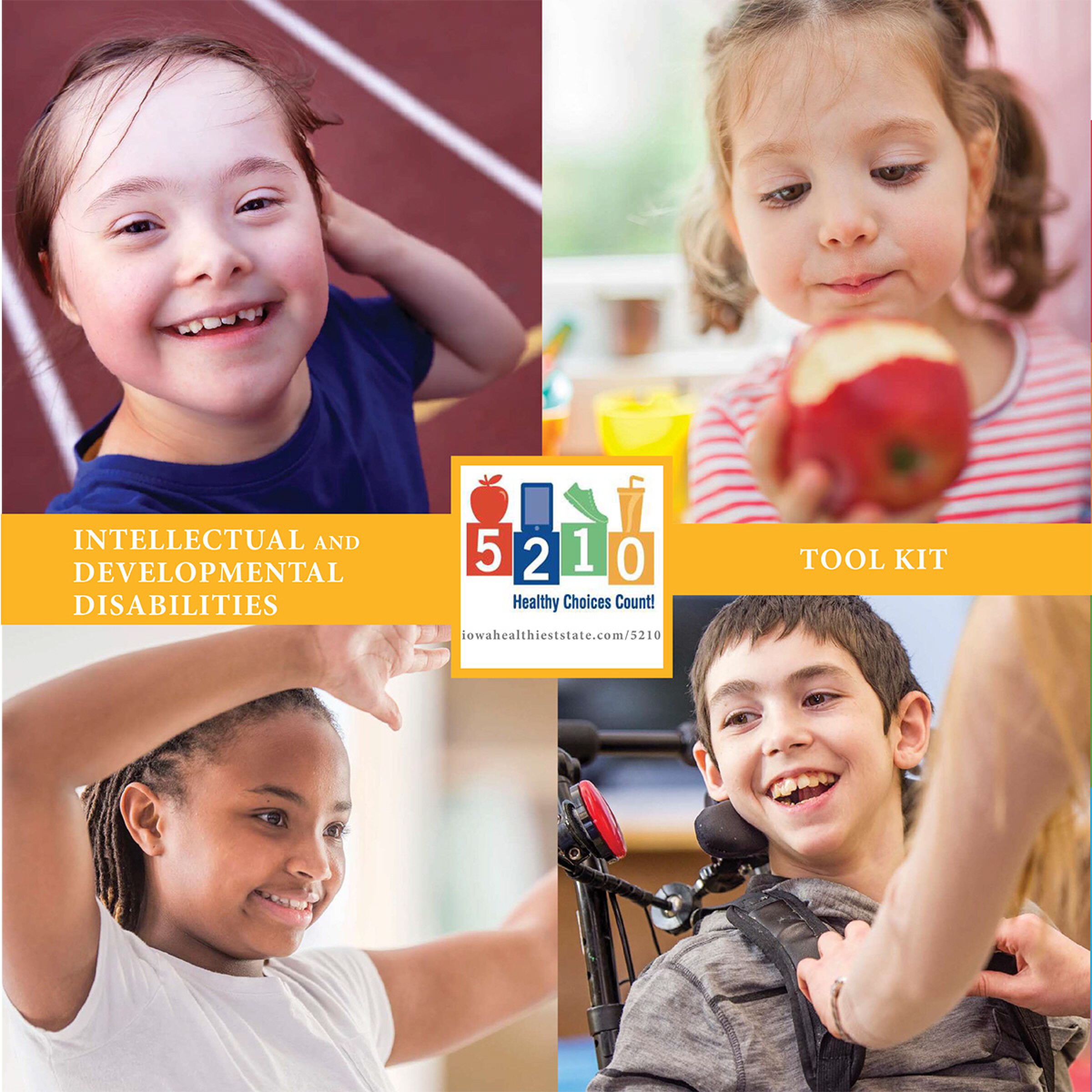 Intellectual and Developmental Disabilities Tool Kit for Children