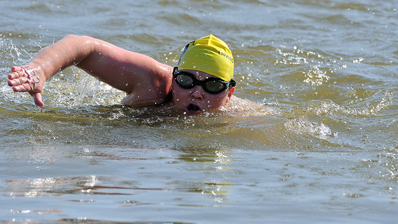 Washington DC Sharkfest Swim 2019