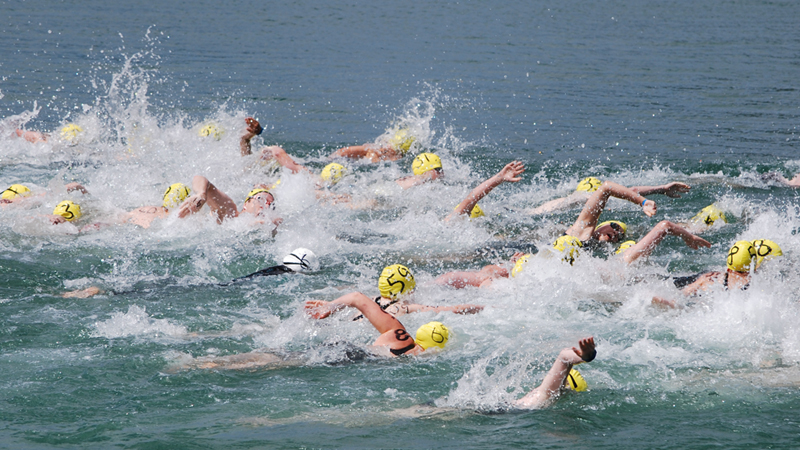 Dive Into Summer with the Inaugural DC Sharkfest Swim